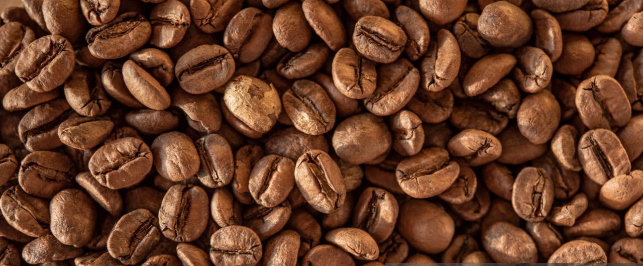 Providing quality Robusta green coffee in Ho Chi Minh City - Vietnam ...